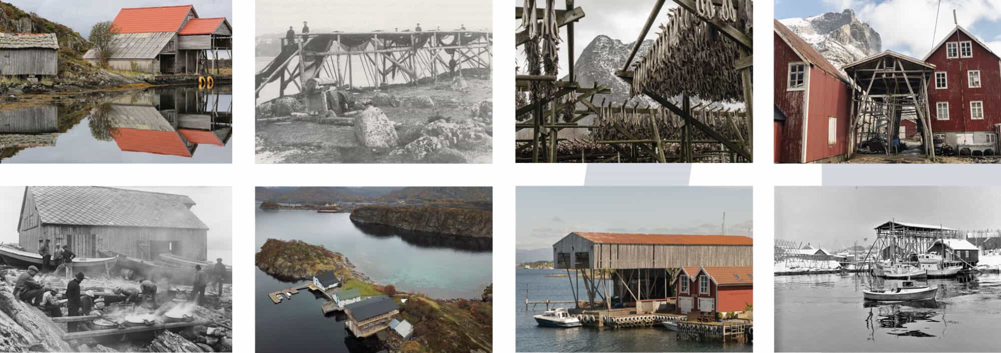 Arne Blix: Notheng - Museumsforlaget